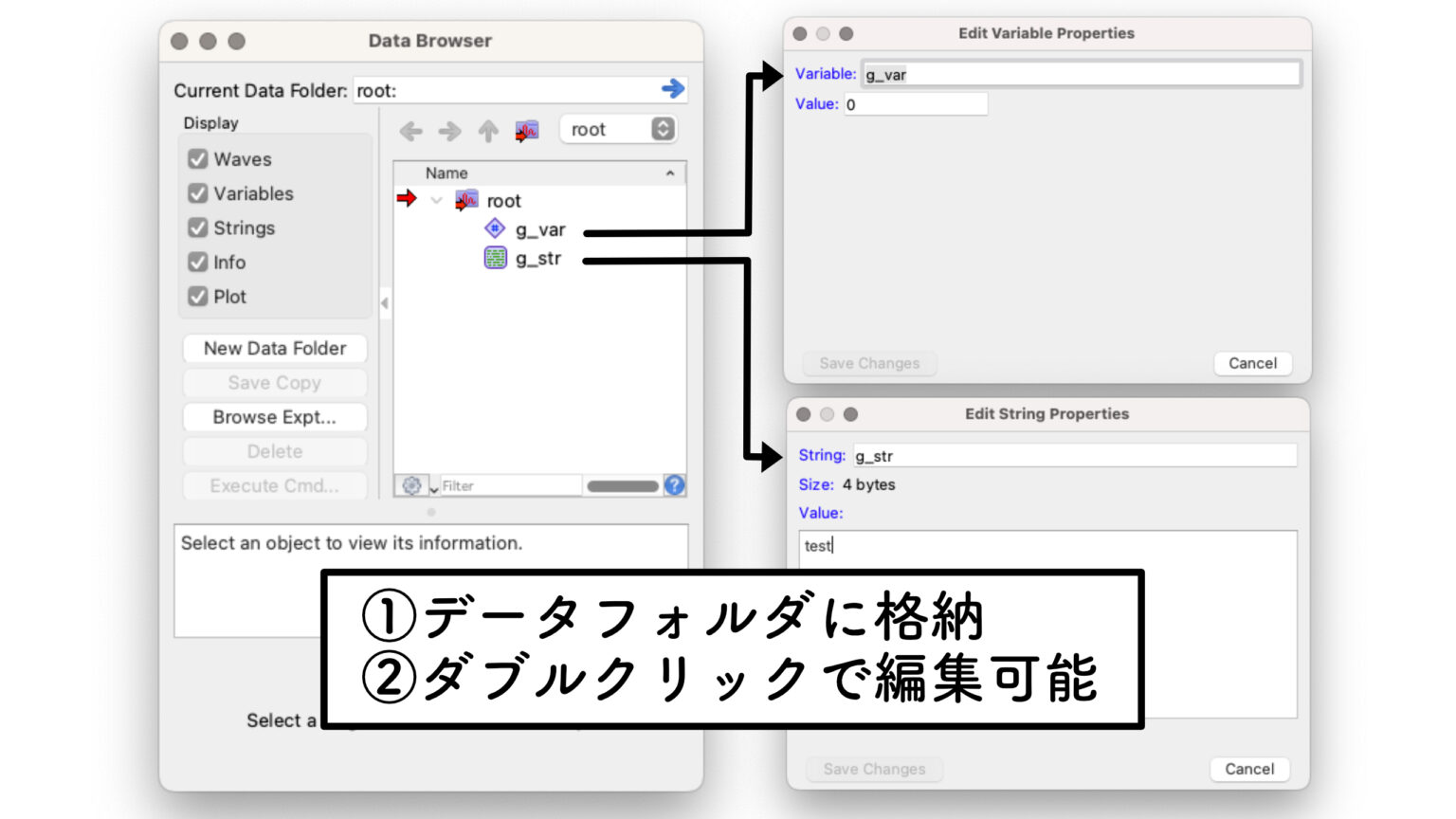 【Igor Pro】プログラミングにおける変数について解説【macro】｜くろがきのやりたいこと研究所
