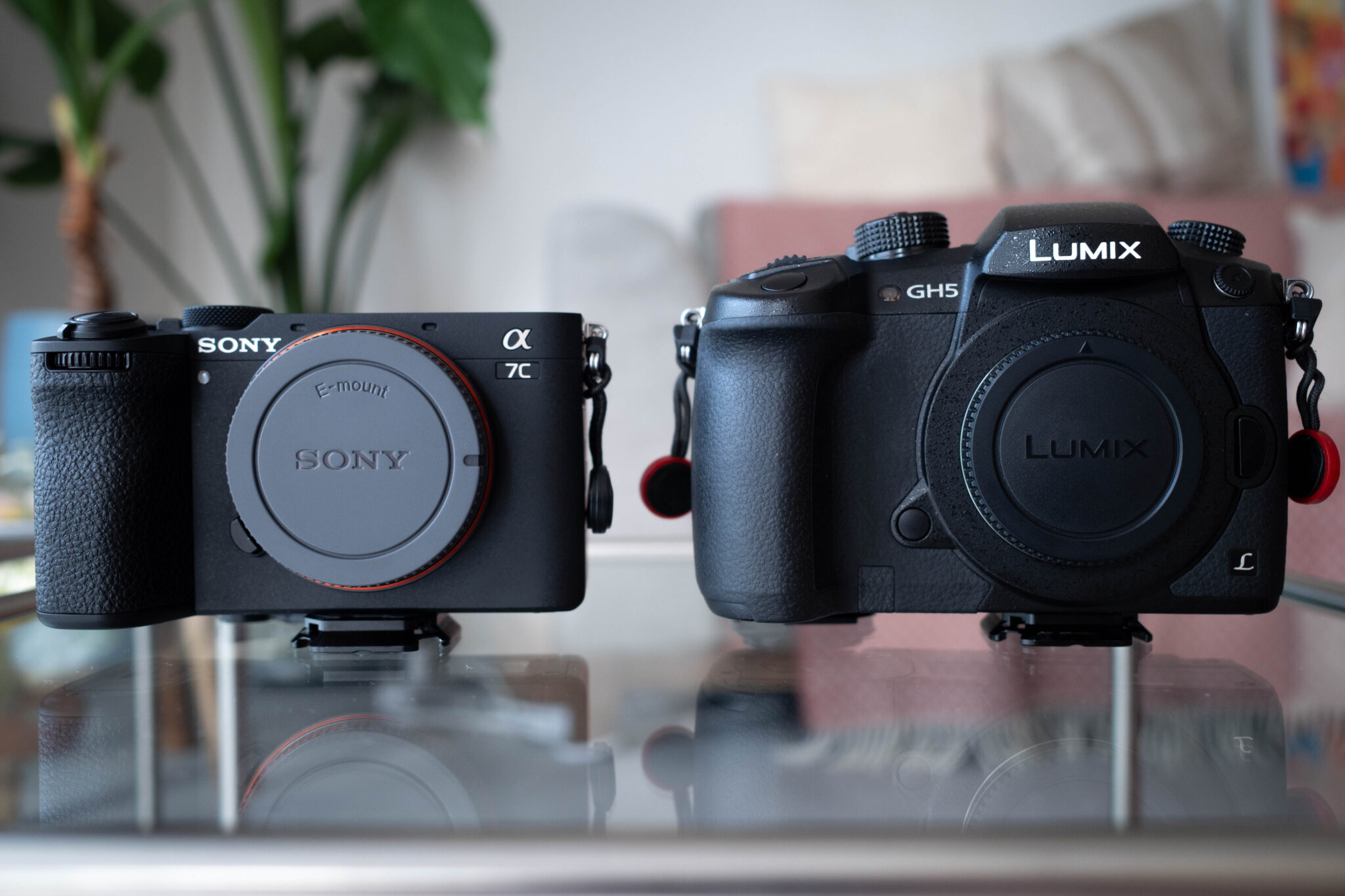 【レビュー】Vlog用カメラをSONY α7C IIに更新した話。気軽に使える小型軽量の高性能カメラ｜くろがきのやりたいこと研究所