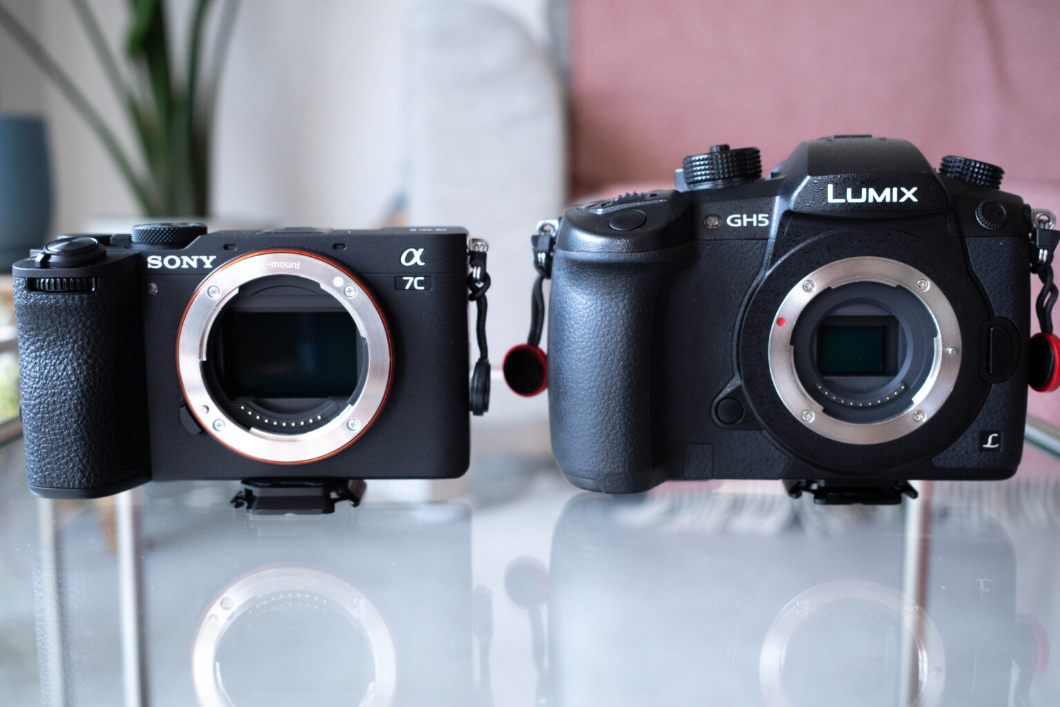 【レビュー】Vlog用カメラをSONY α7C IIに更新した話。気軽に使える小型軽量の高性能カメラ｜くろがきのやりたいこと研究所